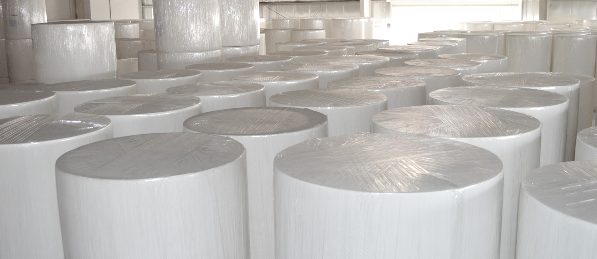 Tissue Industry in the Middle East and North Africa: A Roller coaster ...